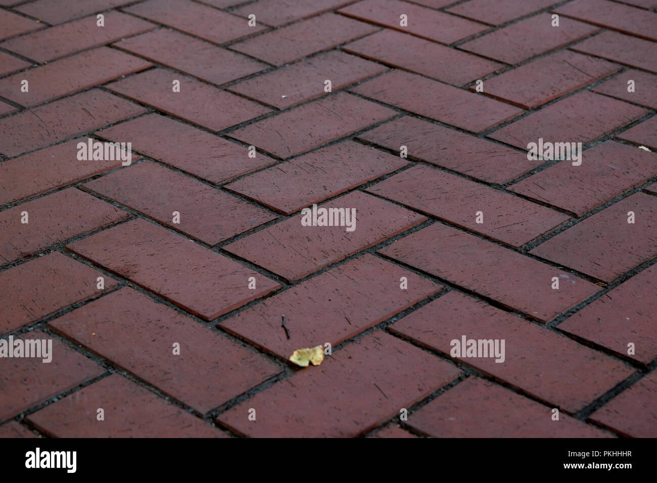 Cobble stone pavement hi-res stock photography and images - Alamy