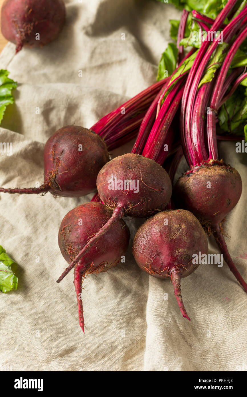 Raw Red Organic Beet Roots with Stems Stock Photo - Alamy
