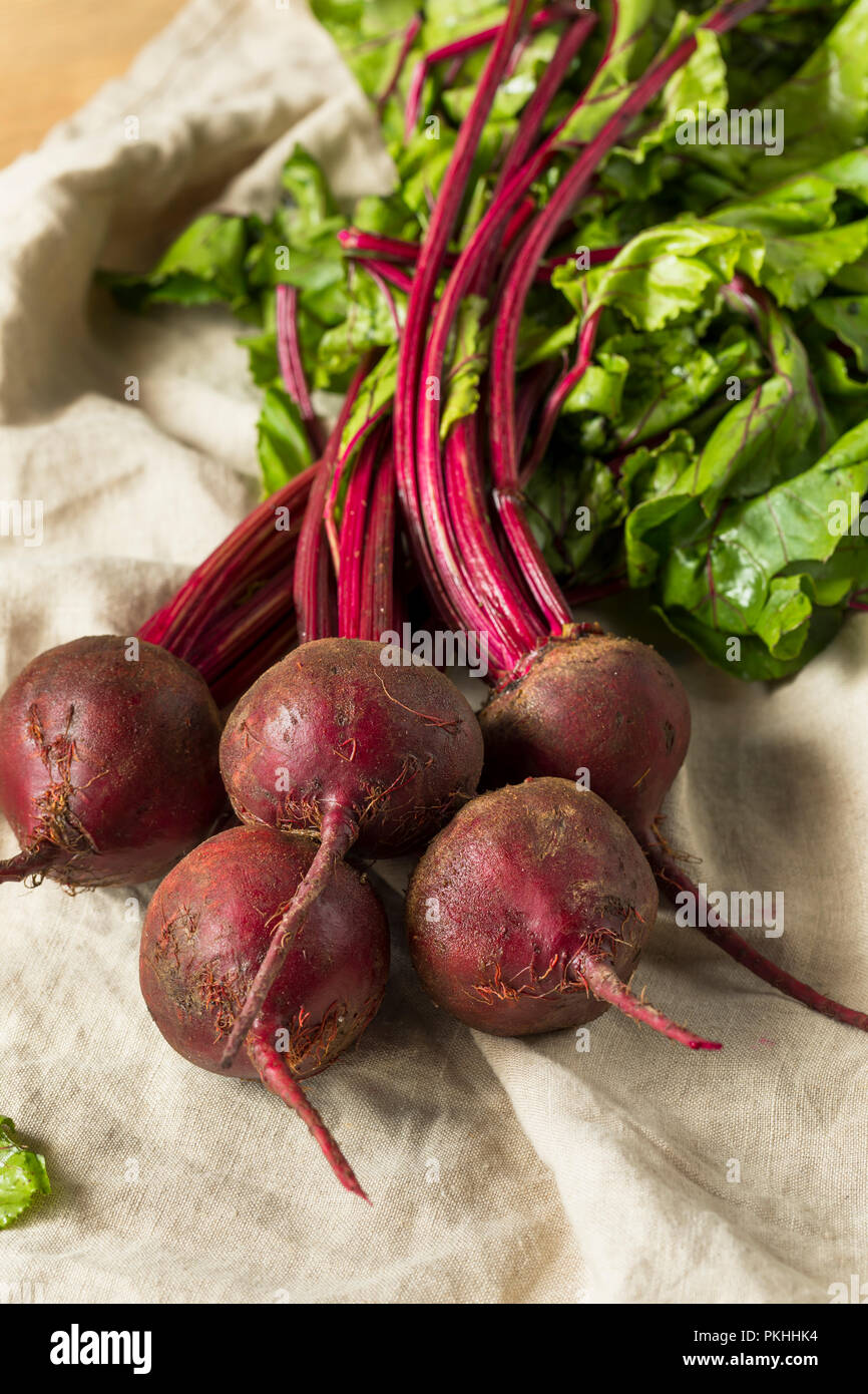 Beetroot stems hi-res stock photography and images - Alamy
