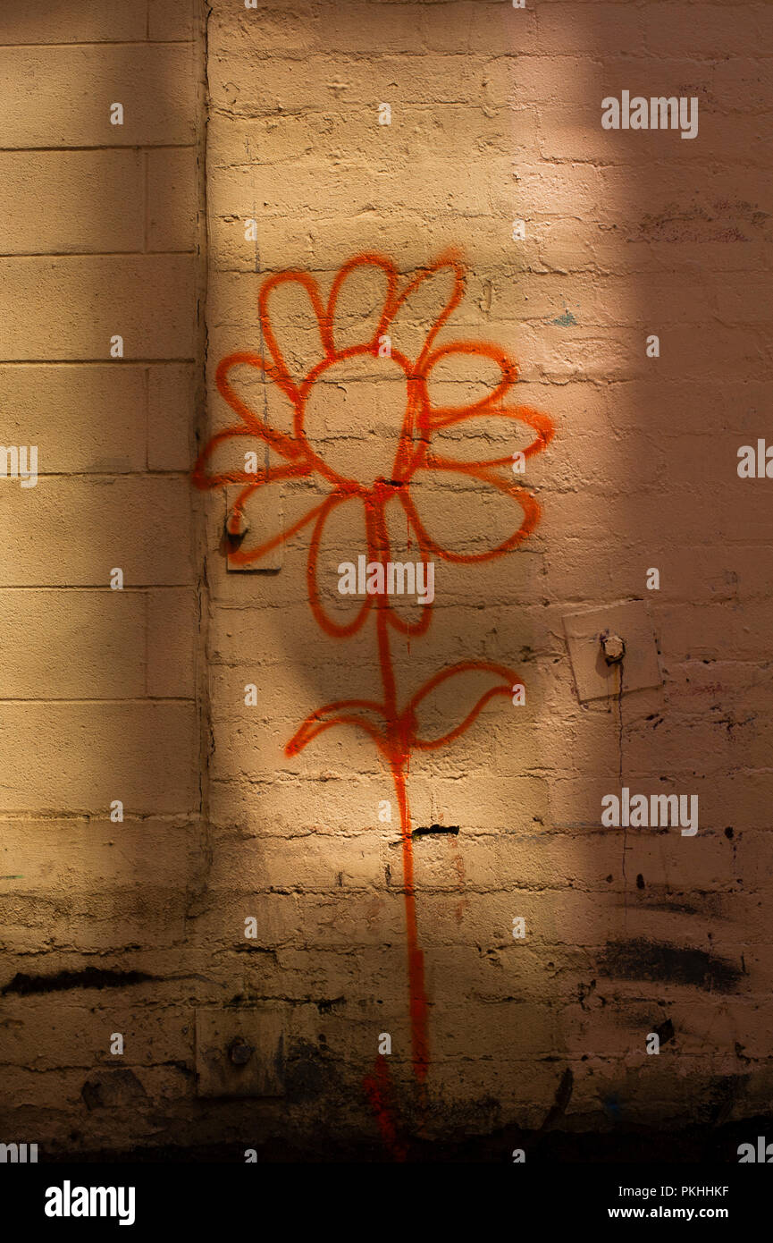 Sunflower graffiti hi-res stock photography and images - Alamy