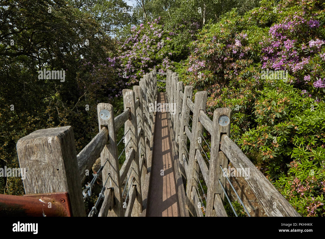 The wooden bridge across the gorge in summertime Stock Photo - Alamy