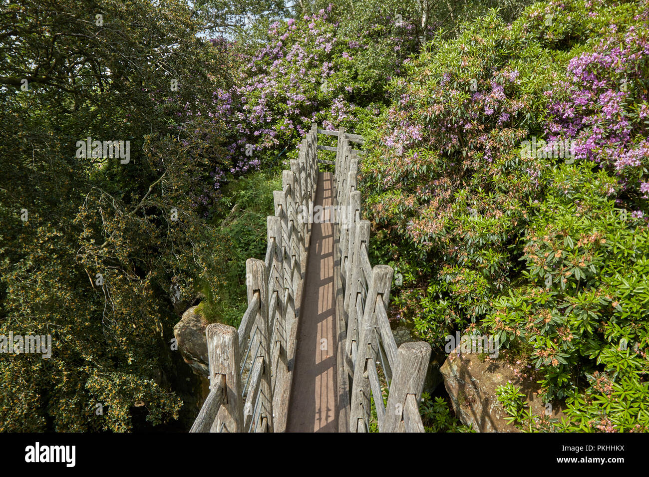 The wooden bridge across the gorge in summertime Stock Photo - Alamy