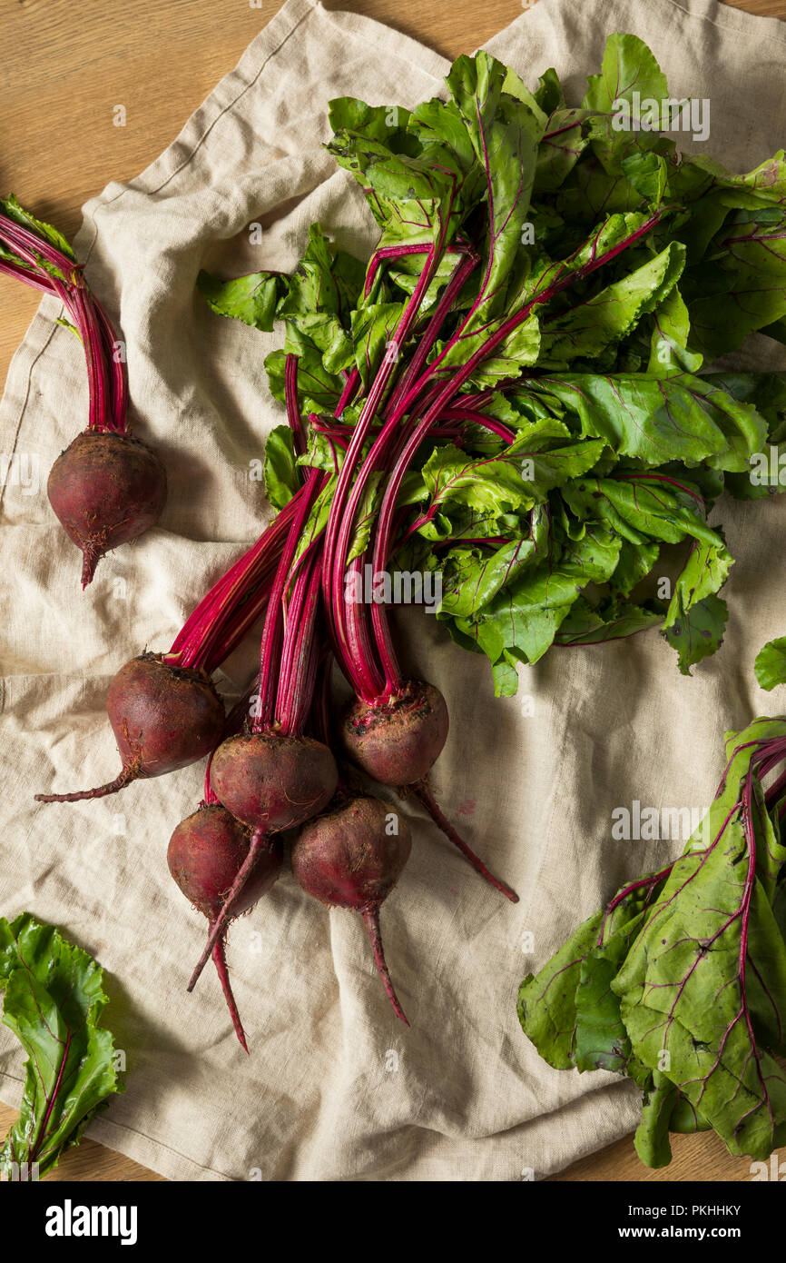 Raw Red Organic Beet Roots with Stems Stock Photo - Alamy