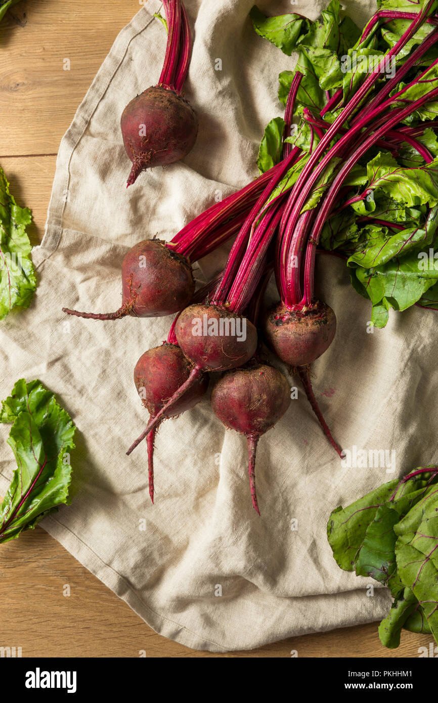Raw Red Organic Beet Roots with Stems Stock Photo - Alamy
