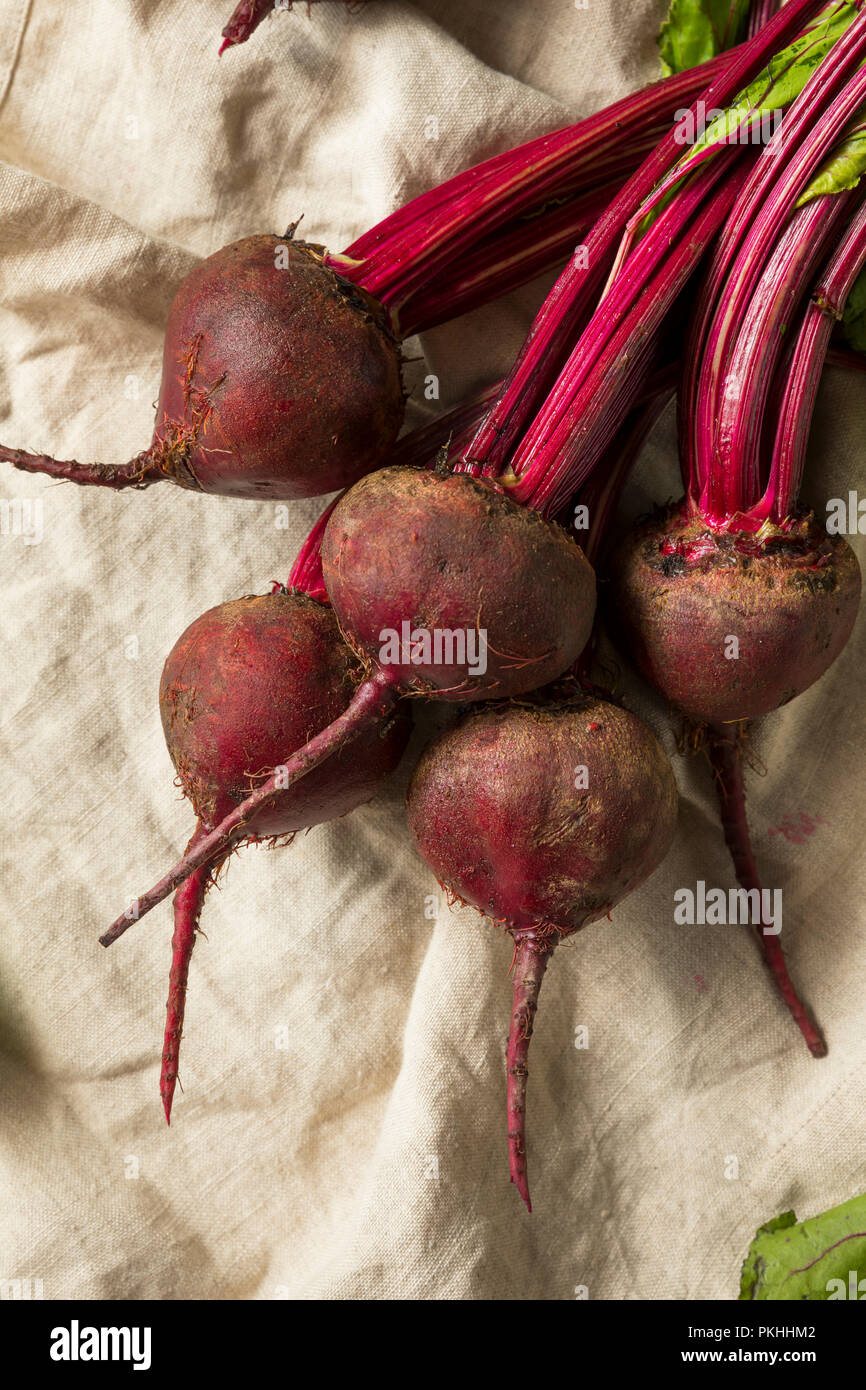 Raw Red Organic Beet Roots with Stems Stock Photo - Alamy