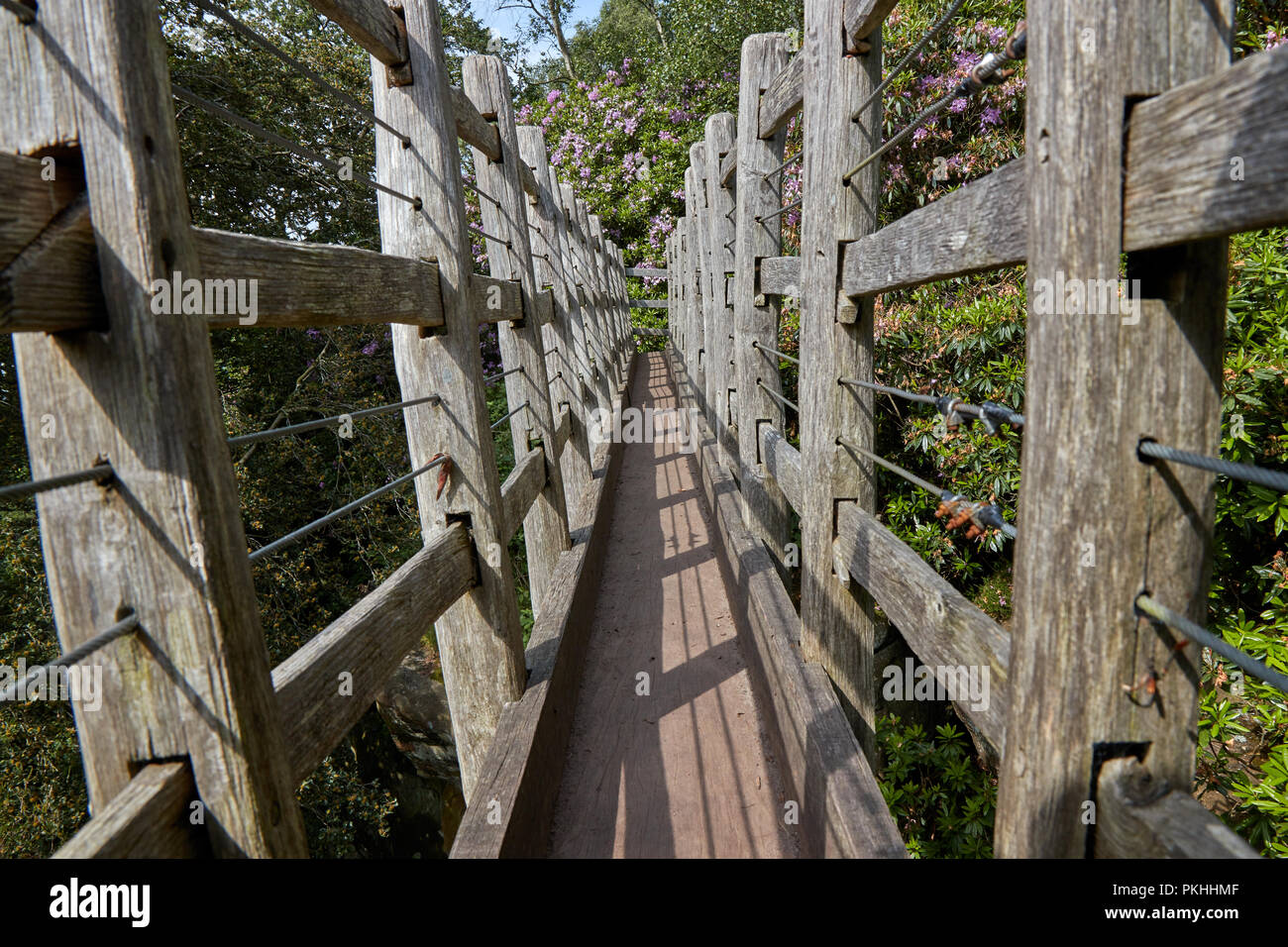 The wooden bridge across the gorge in summertime Stock Photo - Alamy