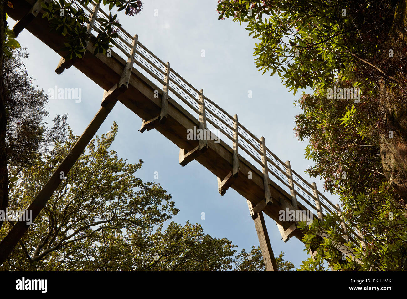 The wooden bridge across the gorge in summertime Stock Photo - Alamy