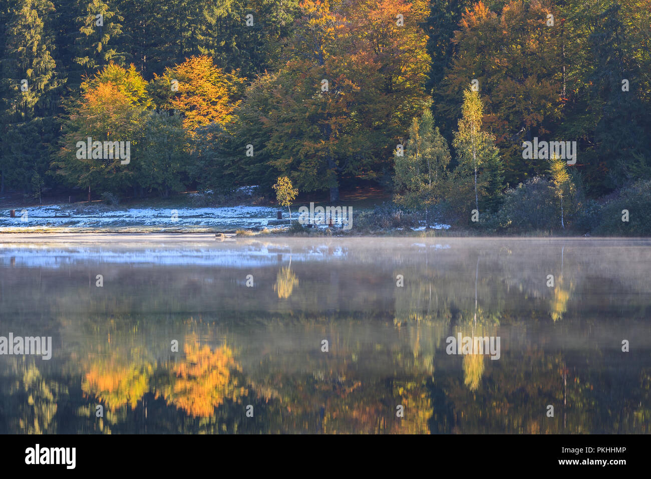 forest reflected in Saint Anna Lake, Romania Stock Photo - Alamy
