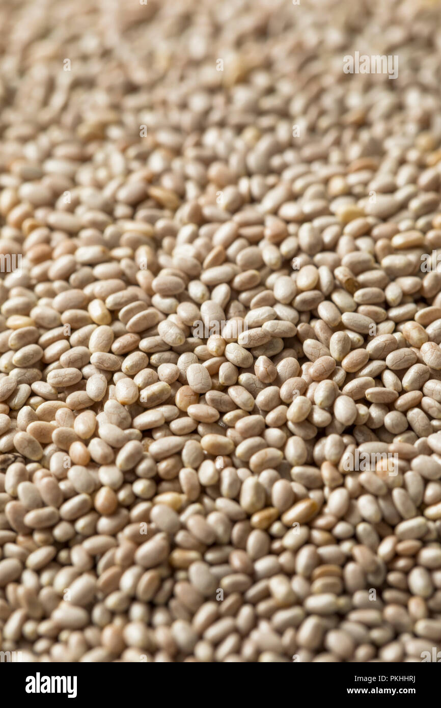 White chia hi-res stock photography and images - Alamy