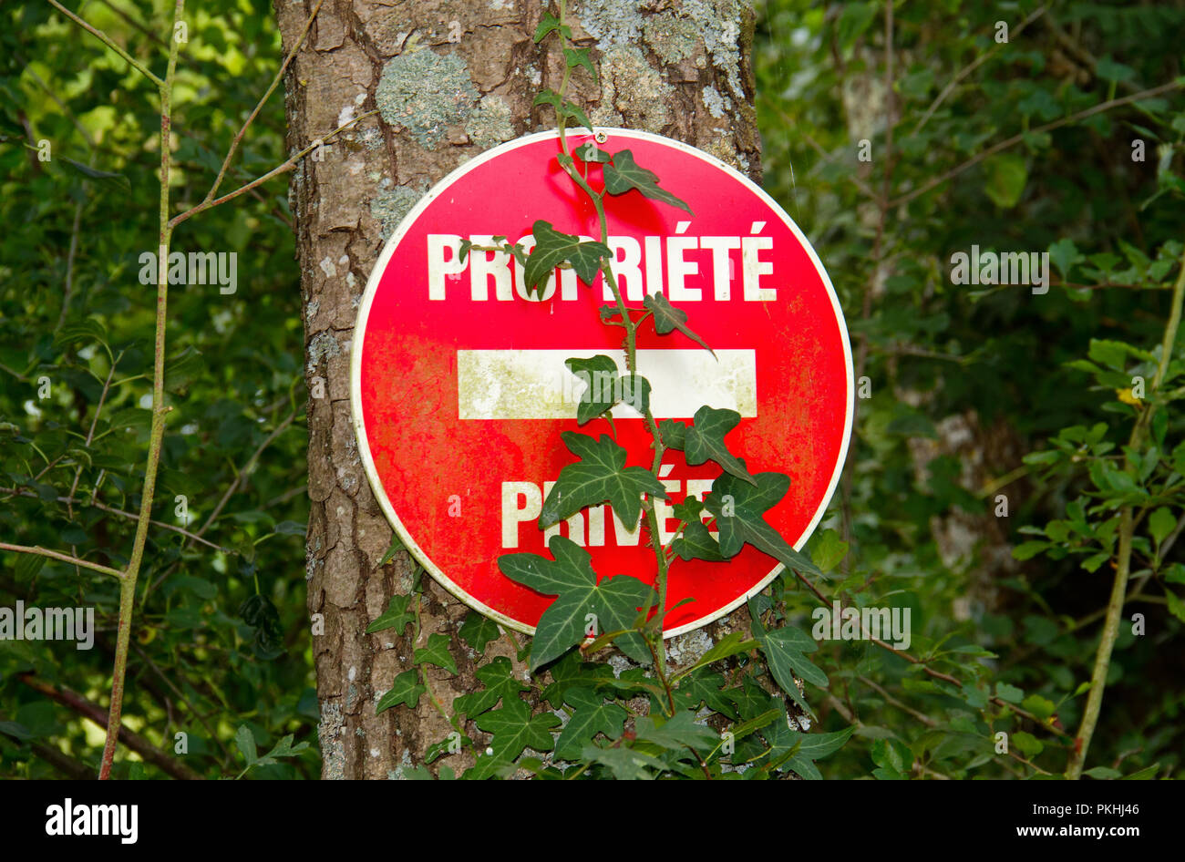 Property signboard hi-res stock photography and images - Alamy