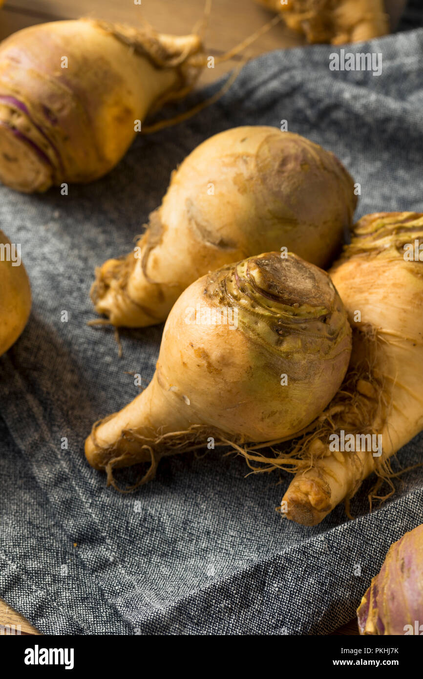 Healthy Raw Organic Brown Rutabaga Root Vegetables Stock Photo - Alamy