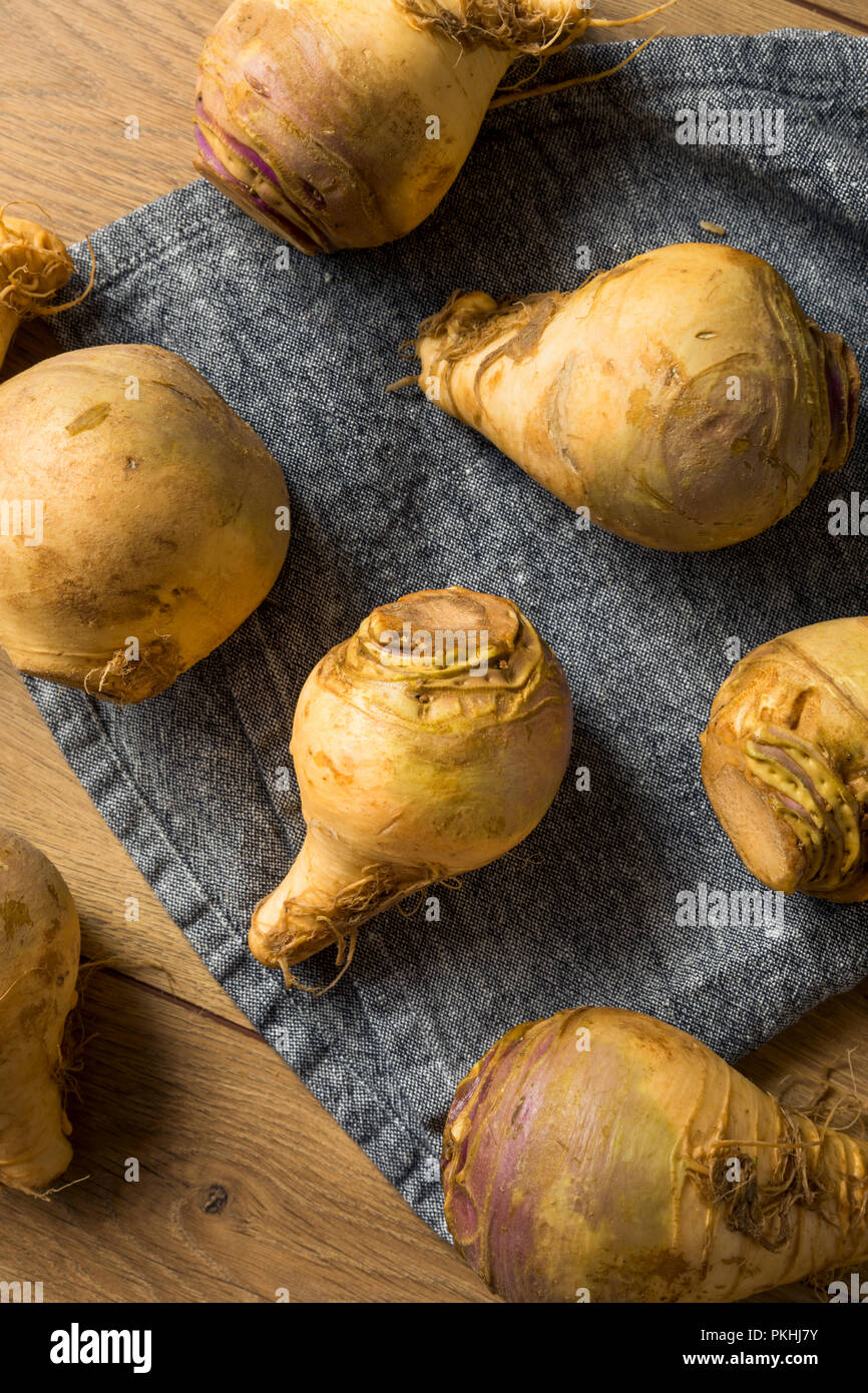 Vegetable Root Ground Stock Photos & Vegetable Root Ground Stock Images ...