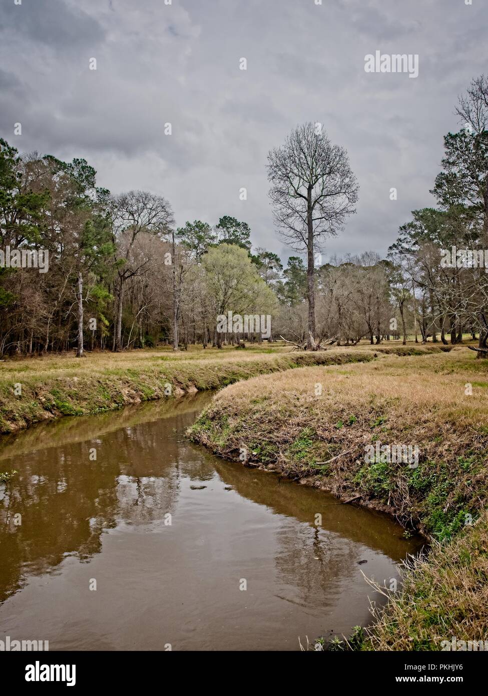 Stream outdoor hi-res stock photography and images - Alamy