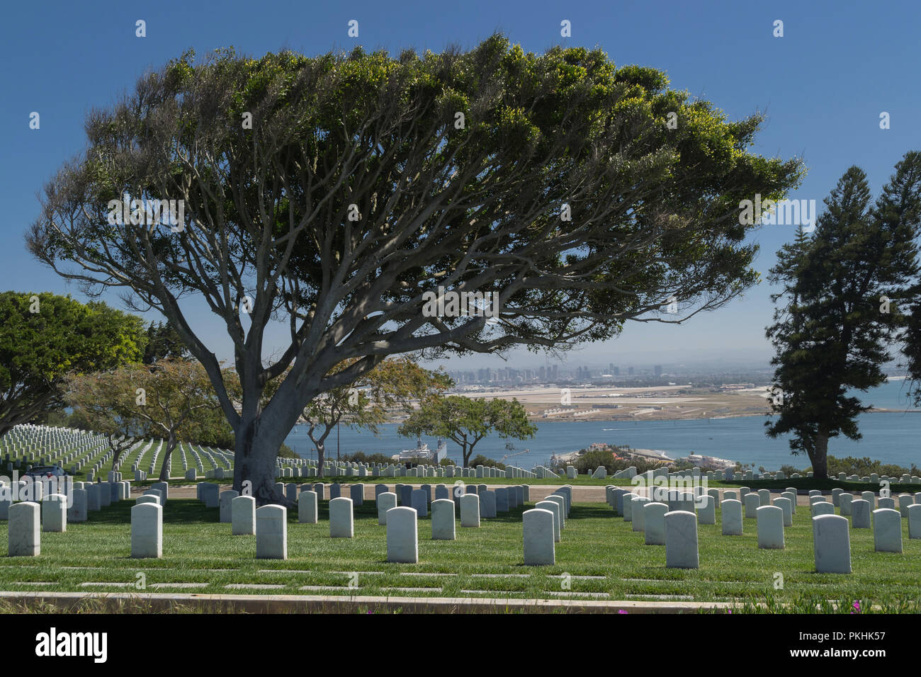 Fort Rosecrans National Cemetery, San Diego, Kalifornien, USA Stock ...