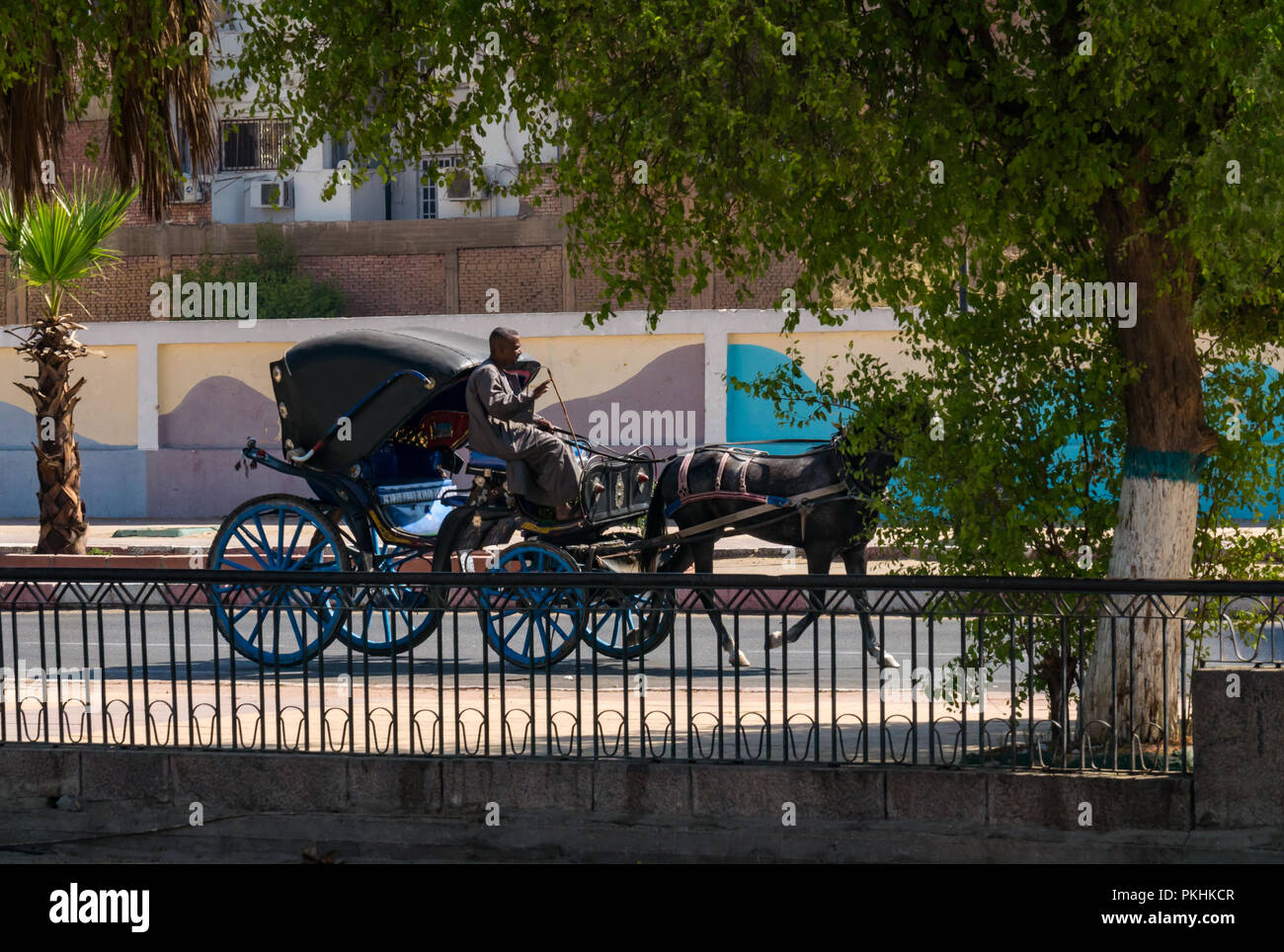 Traditional horse carriage for tourists driven by an Egyptian man ...
