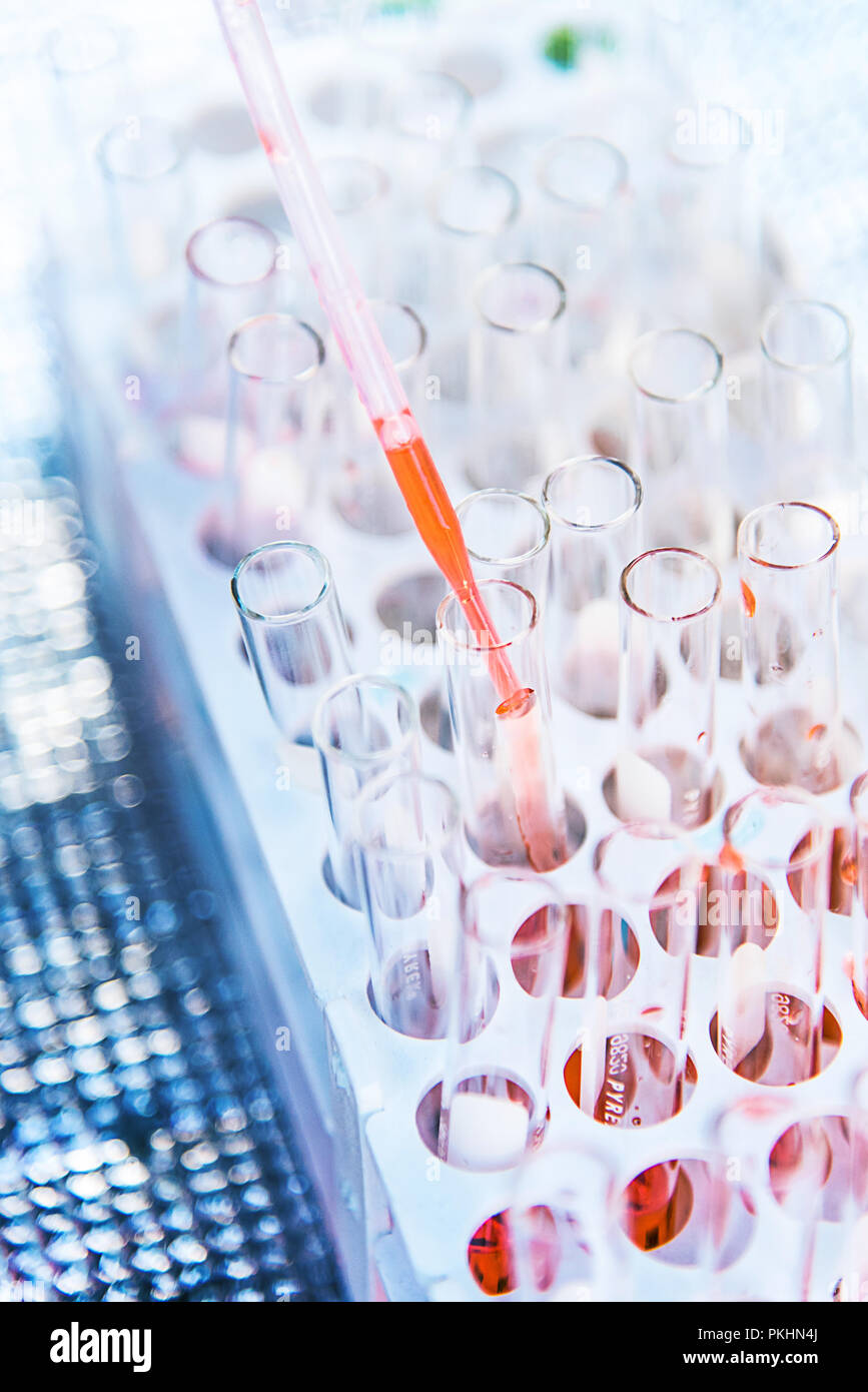 Lab science research glass items adding drop to one of several test ...