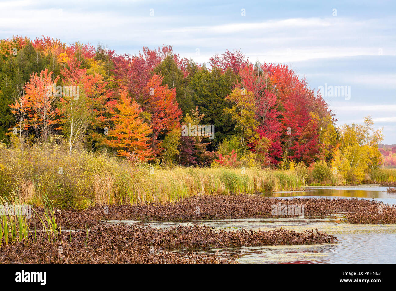 Autumn scenes around Lac Boivin (lake) Quebec, Canada. From the area of ...