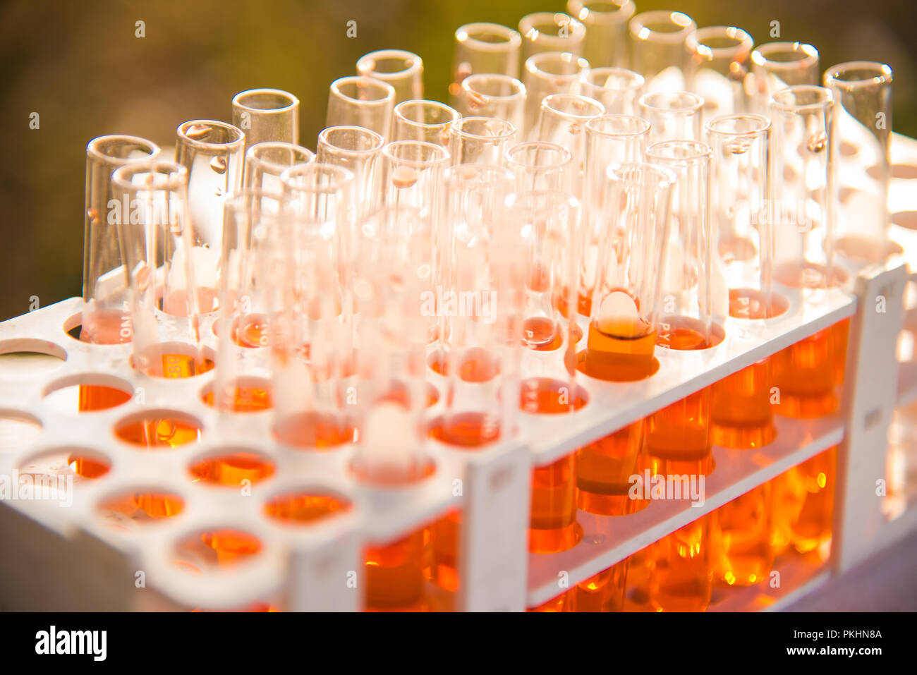Lab science research glass items adding drop to one of several test ...