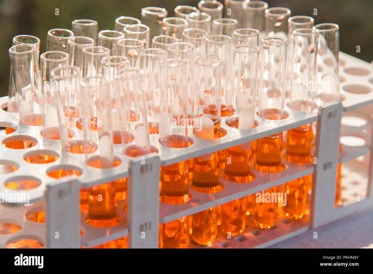 Lab science research glass items adding drop to one of several test ...