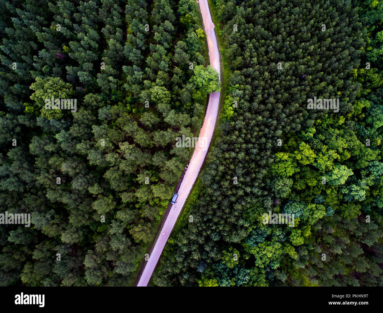 Drone shot picture of pine trees Stock Photo - Alamy