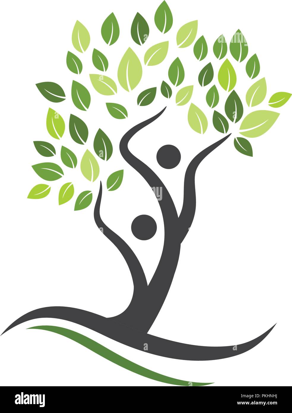 Family tree icon hi-res stock photography and images - Alamy