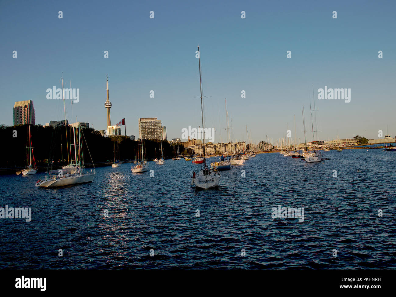 Harbor with sail boats on the water with trees and the CN Tower in the ...