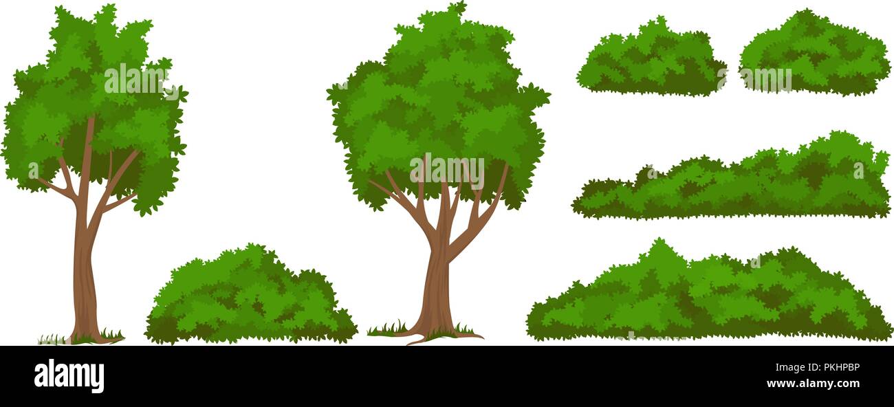 Vector trees and bushes set Stock Vector Image & Art - Alamy
