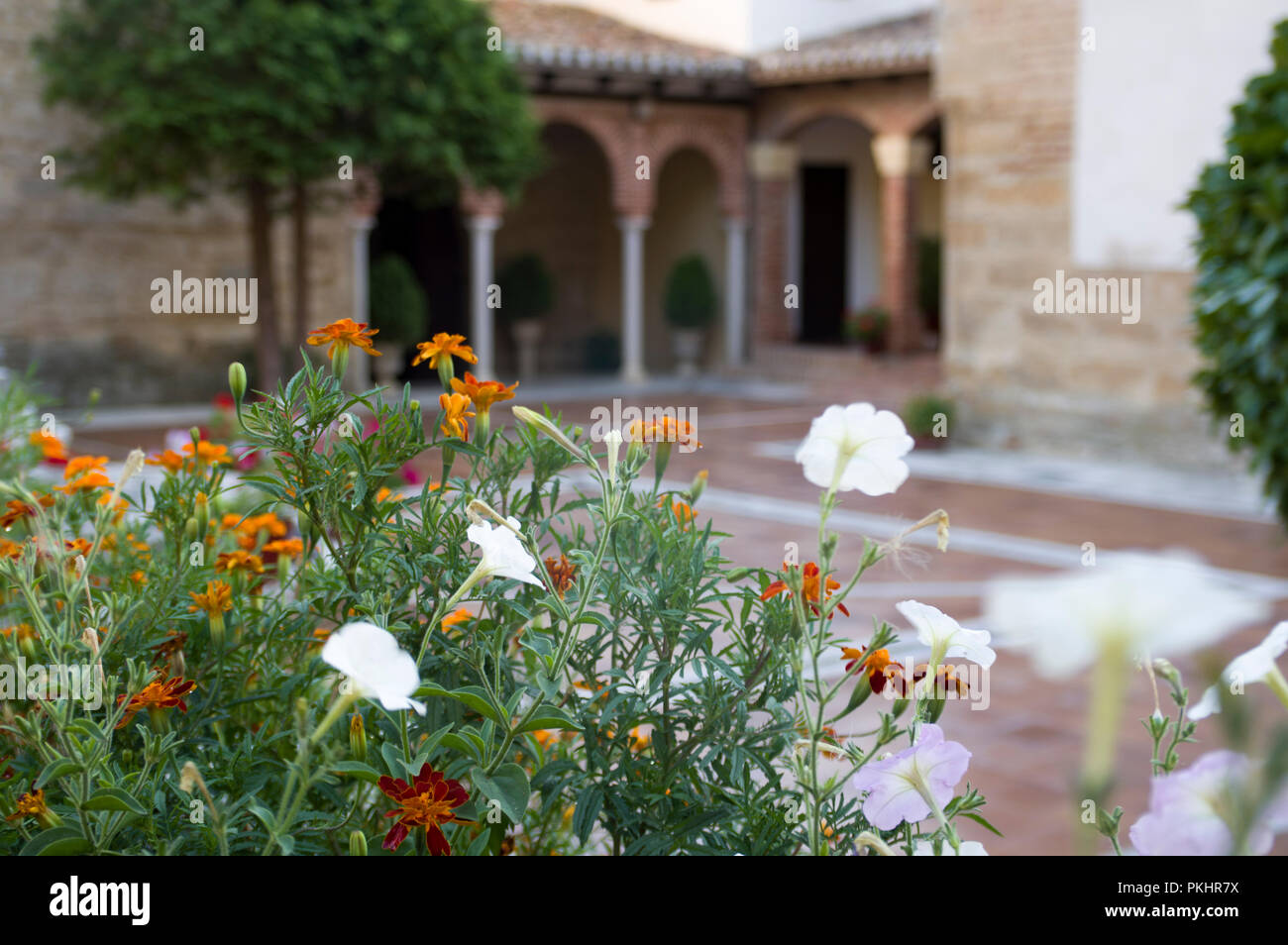 Astudillo hi-res stock photography and images - Alamy