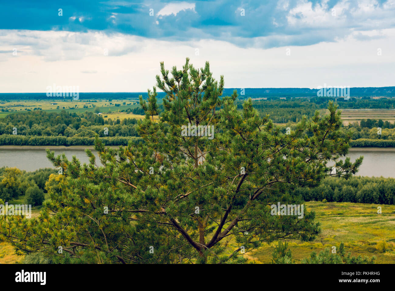 Branchy beauty hi-res stock photography and images - Alamy