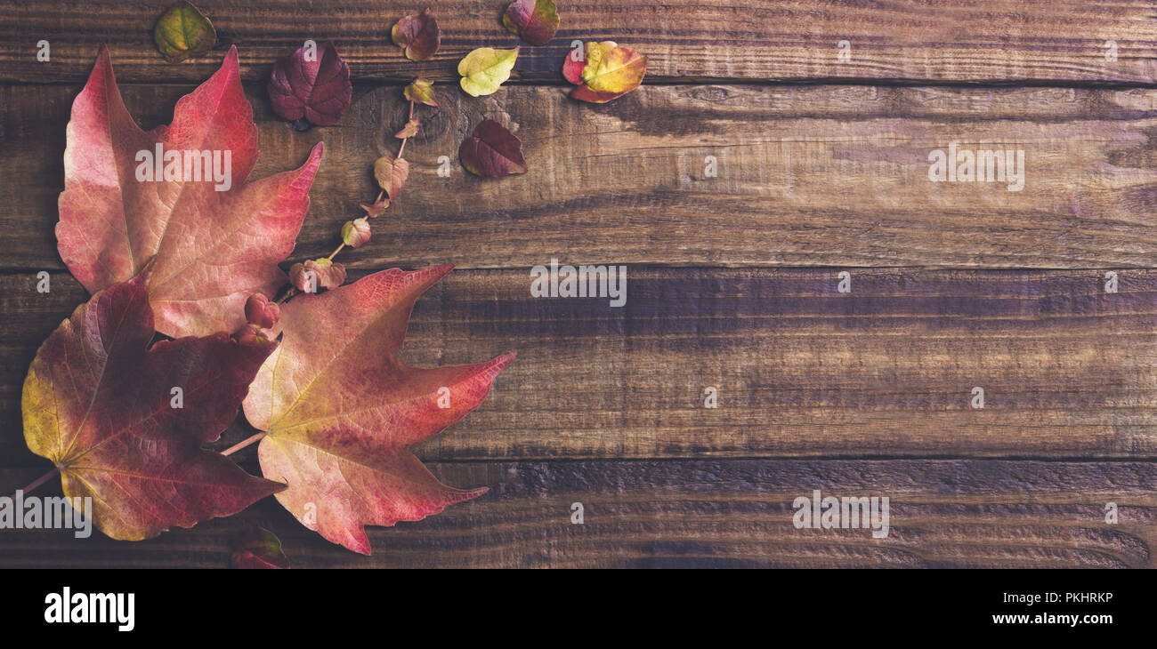 Autumn leaves over dark wooden vintage background with copy space Stock ...