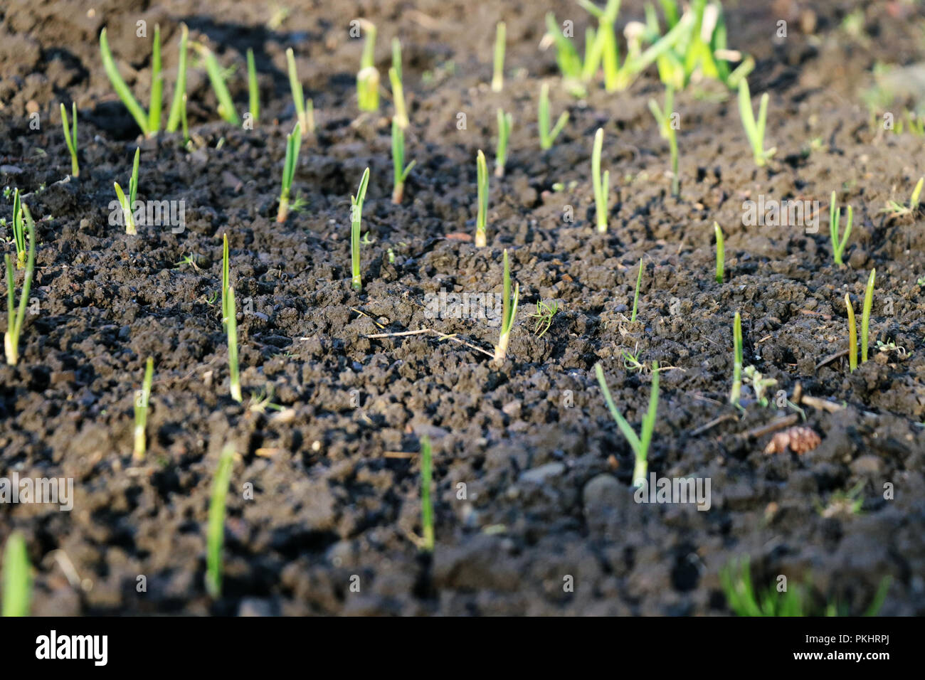 Tarrif scale hi-res stock photography and images - Alamy