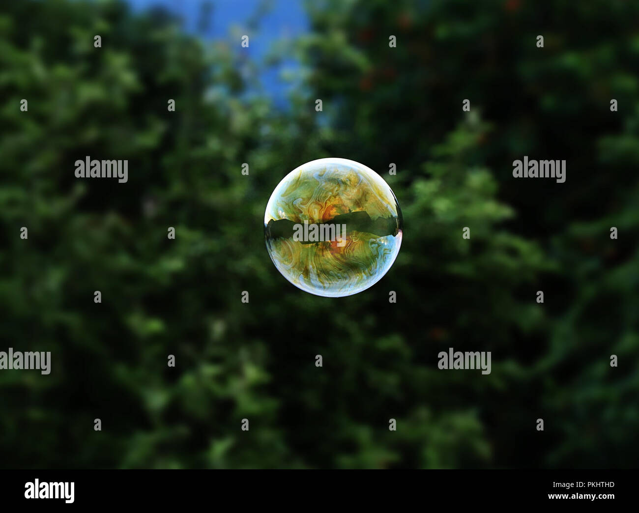 A one green, red, orange and blue bubble fly in the air on the forest ...