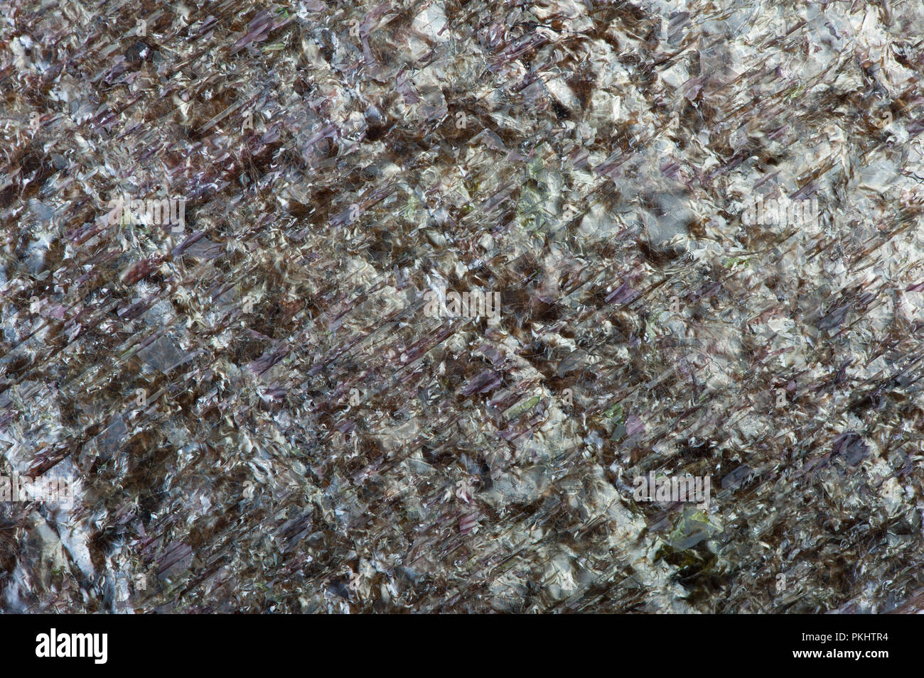 Texture of dry algae for background Stock Photo - Alamy