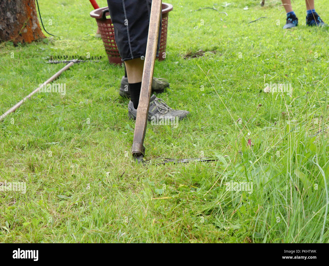 Farmer cutting grass with a scythe hi-res stock photography and images ...