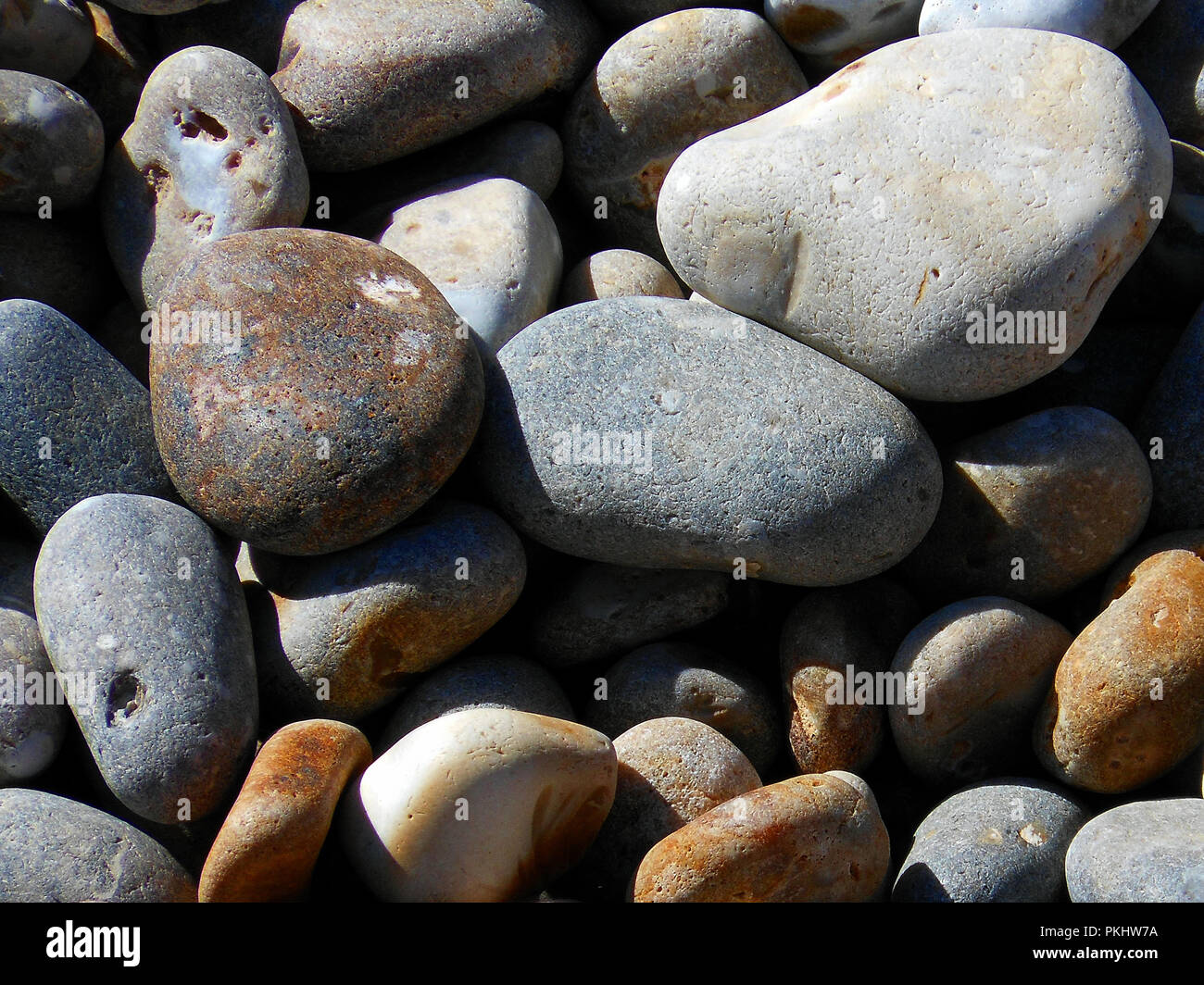 Beach pebbles sea devon england shore hi-res stock photography and ...