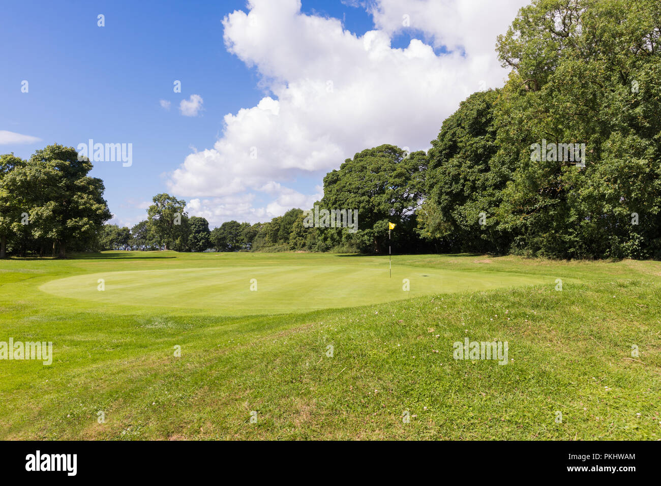 Beautiful golf fields with green grass Stock Photo - Alamy