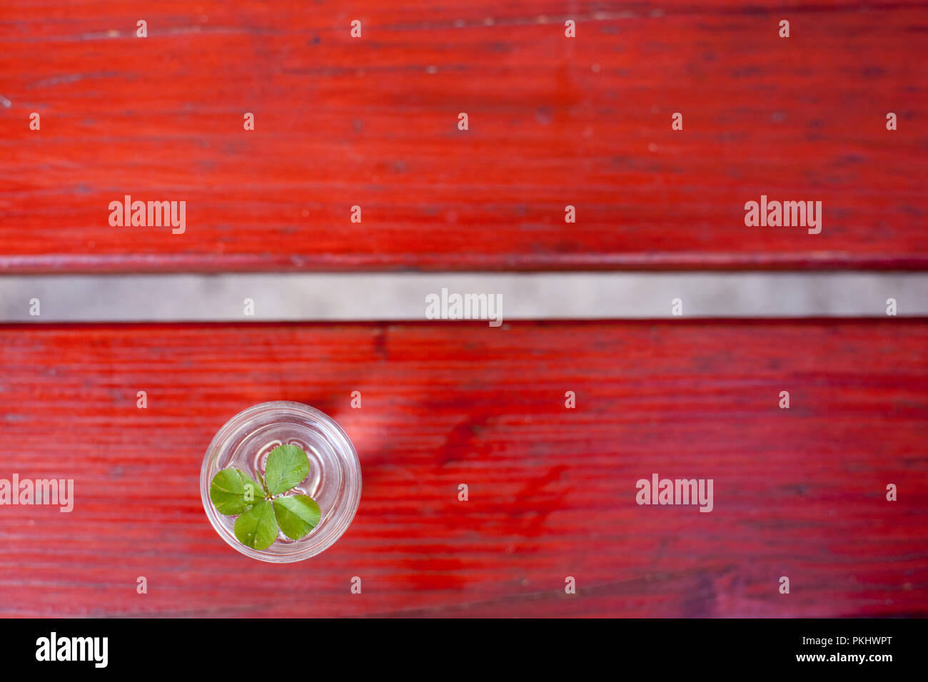 A four leaf clover in a cup on the red background Stock Photo - Alamy