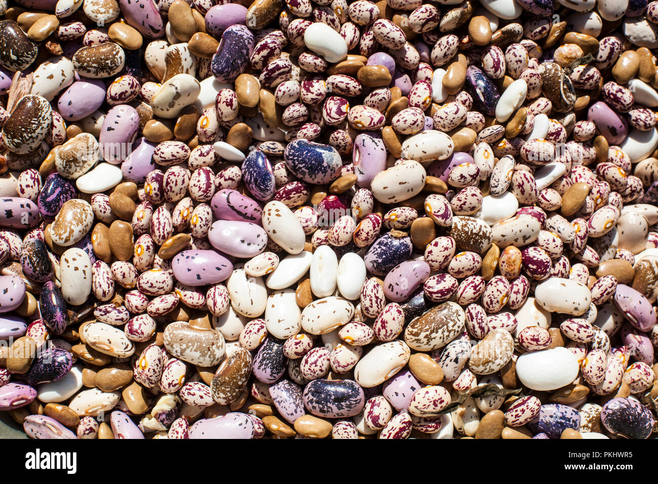 Colorful beans background Stock Photo - Alamy