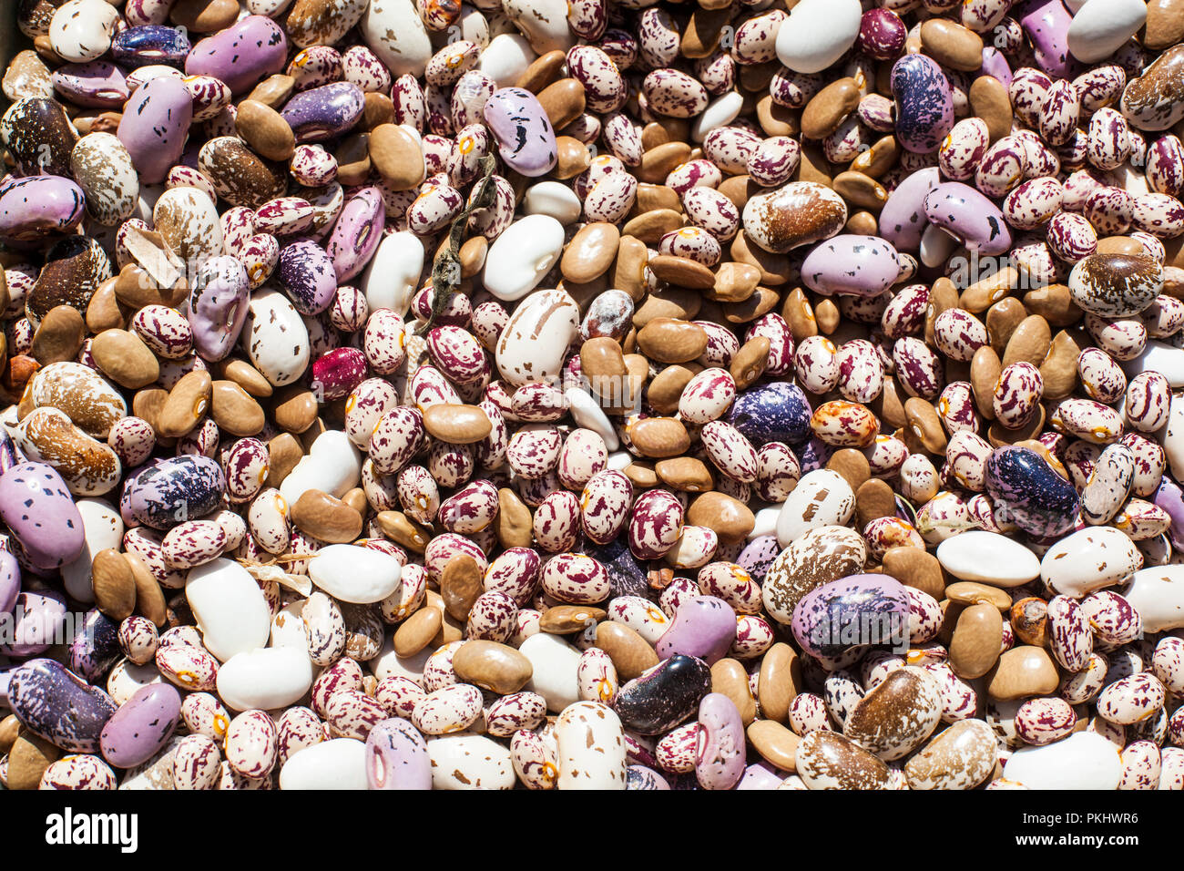Colorful beans background Stock Photo - Alamy