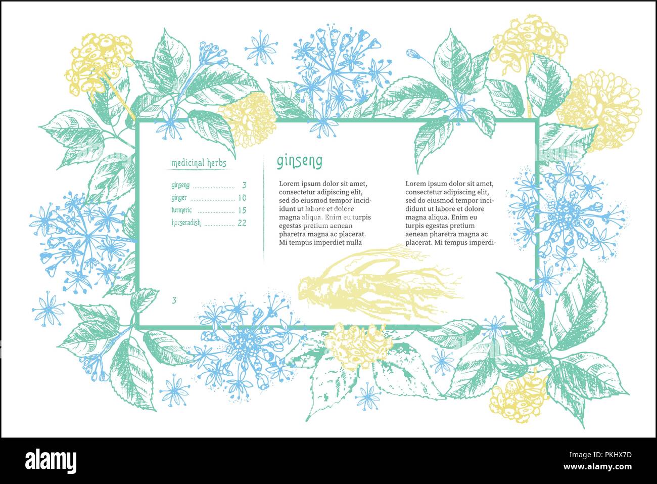 Banner red berries on Stock Vector Images - Alamy