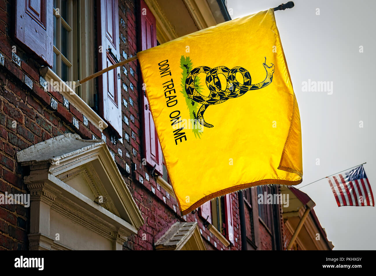 The Gadsden flag, with “Don’t Tread On Me” written on it, was designed ...