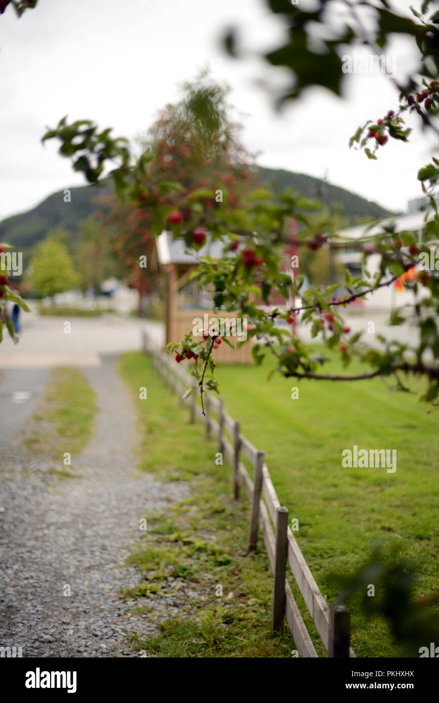Footpath path pathway fence hi-res stock photography and images - Alamy