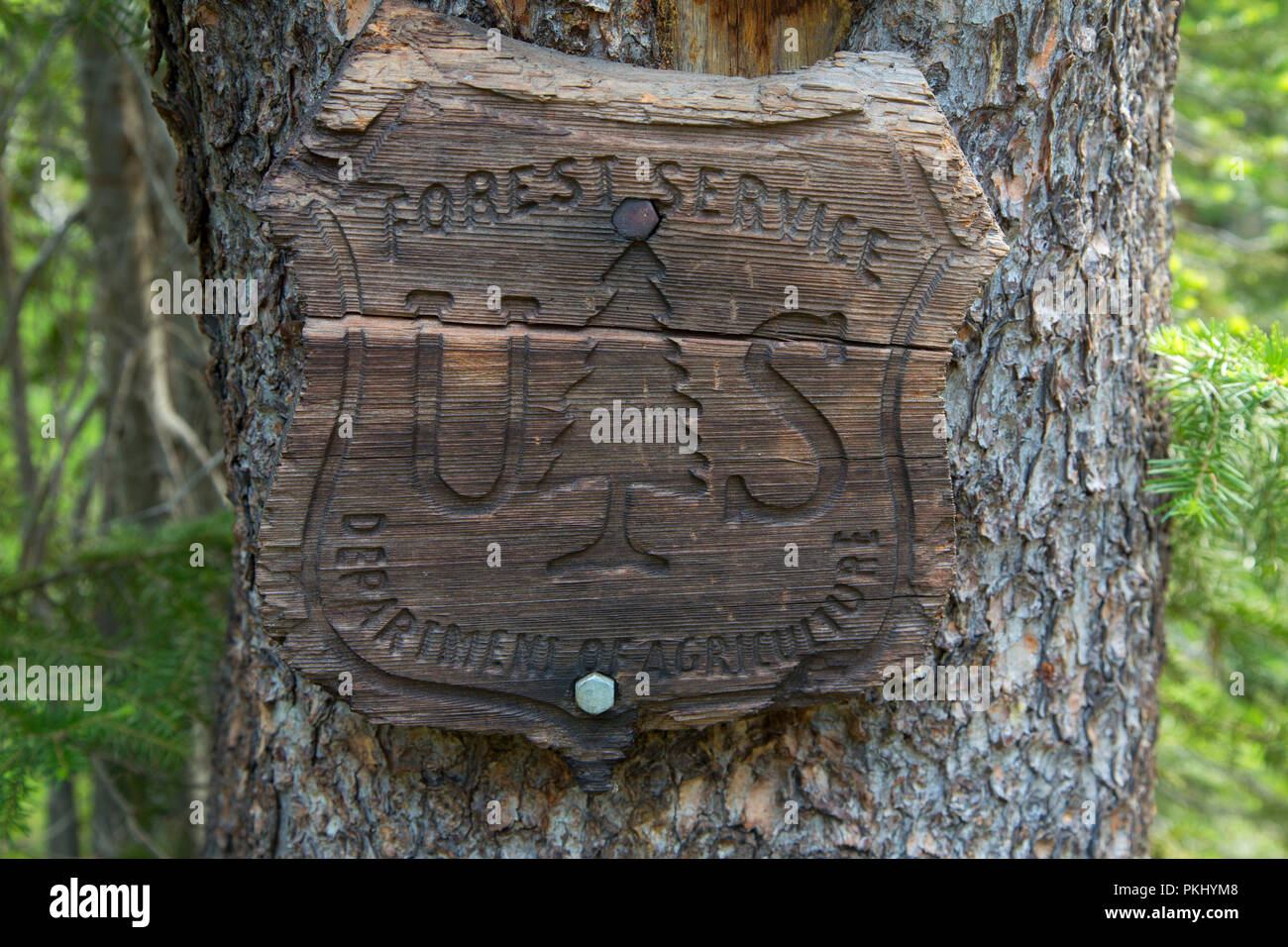 Forest Service marker along Lady of the Lake Trail, Absaroka Beartooth ...