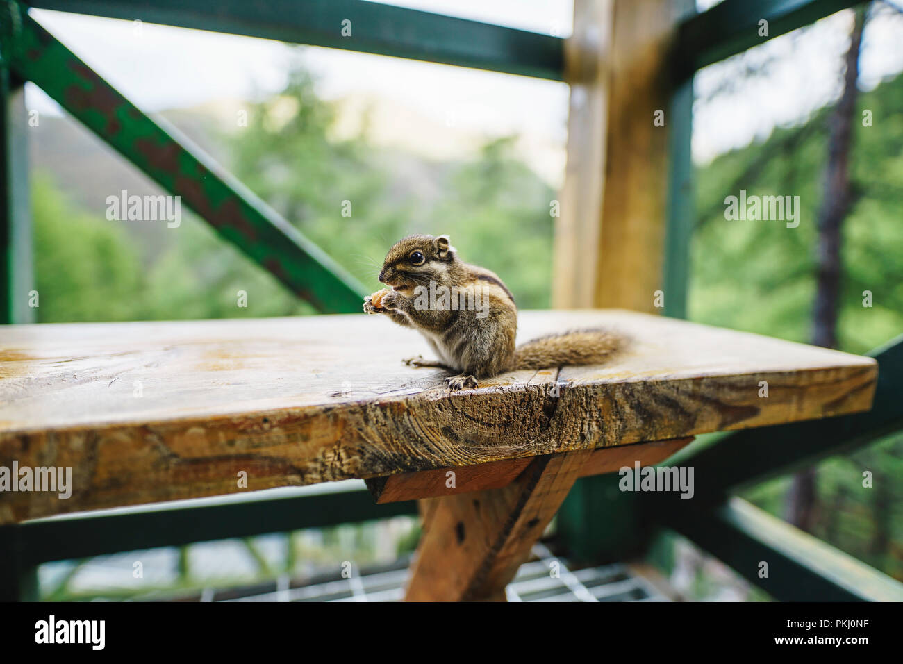 Little Aden High Resolution Stock Photography and Images - Alamy