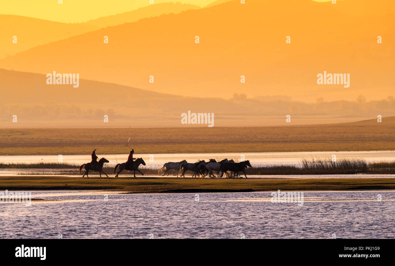 Chifeng city in Inner Mongolia grassland horses Stock Photo - Alamy