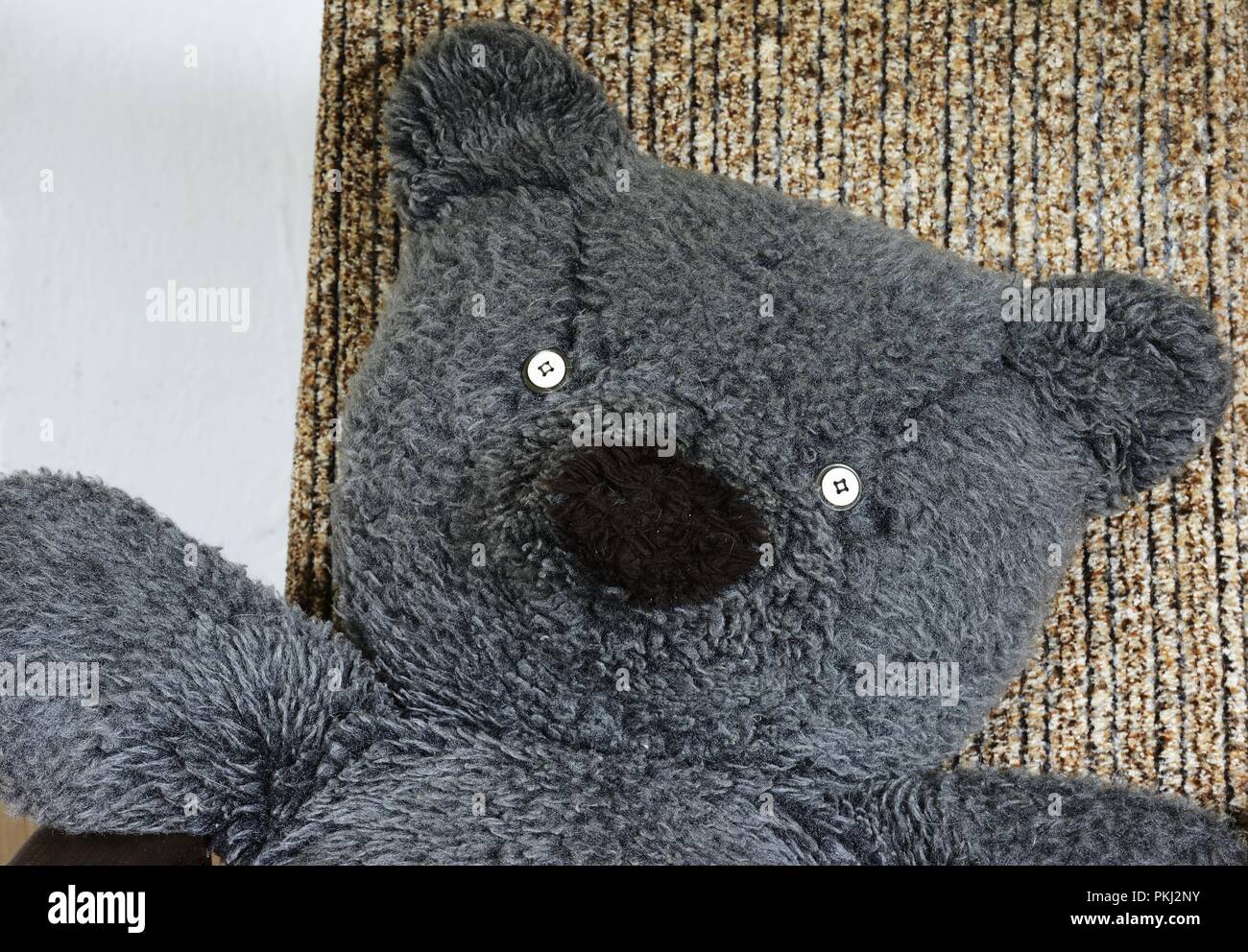 Old teddy bear eyes hi-res stock photography and images - Alamy