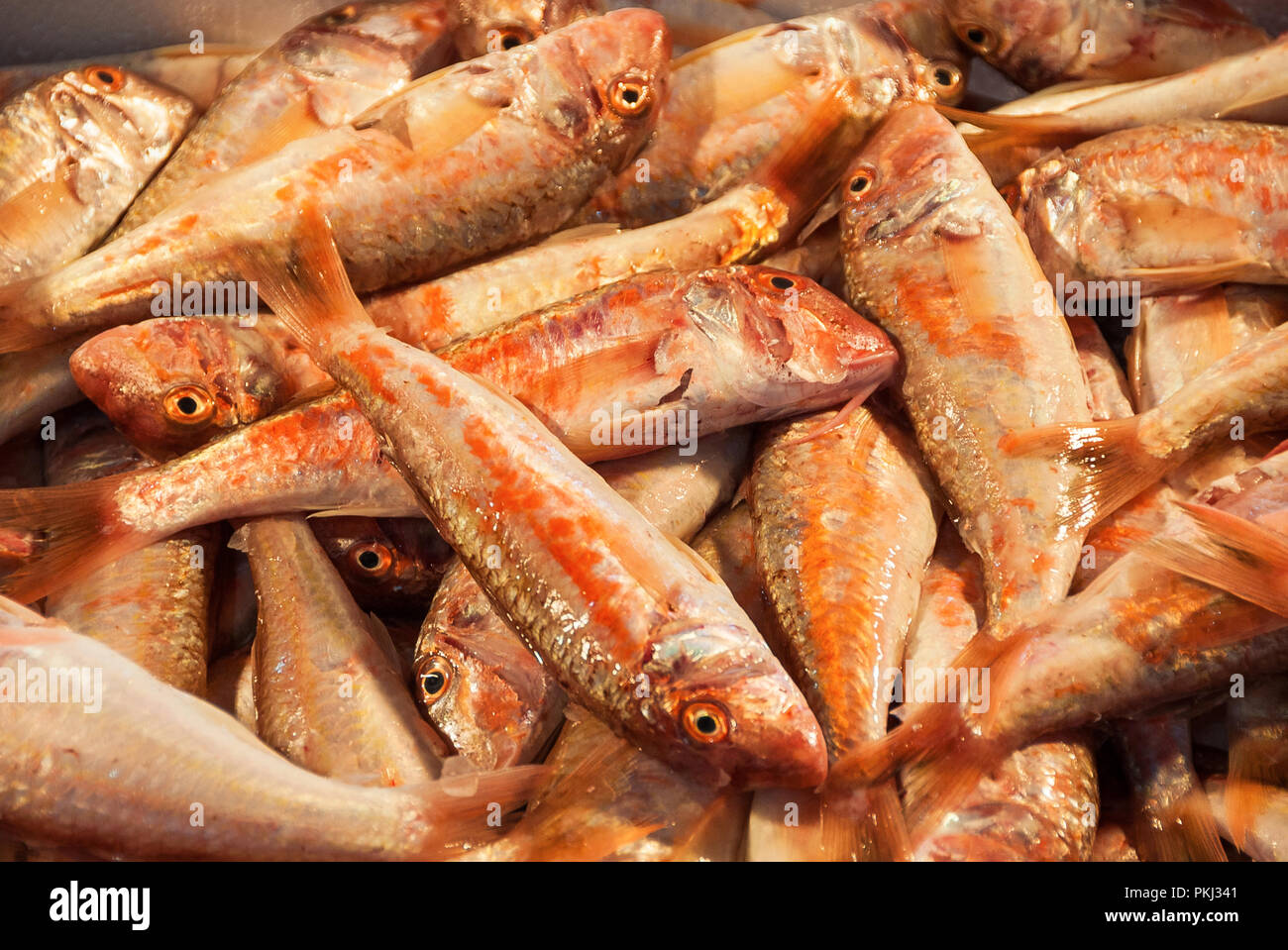 Red Goatfish at the Fish market Stock Photo - Alamy
