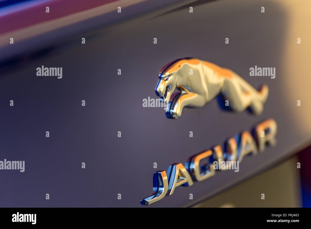 Jaguar logo on a car hi-res stock photography and images - Alamy