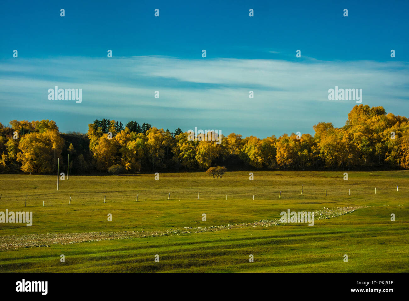 Hebei bashang grassland scenery Stock Photo - Alamy