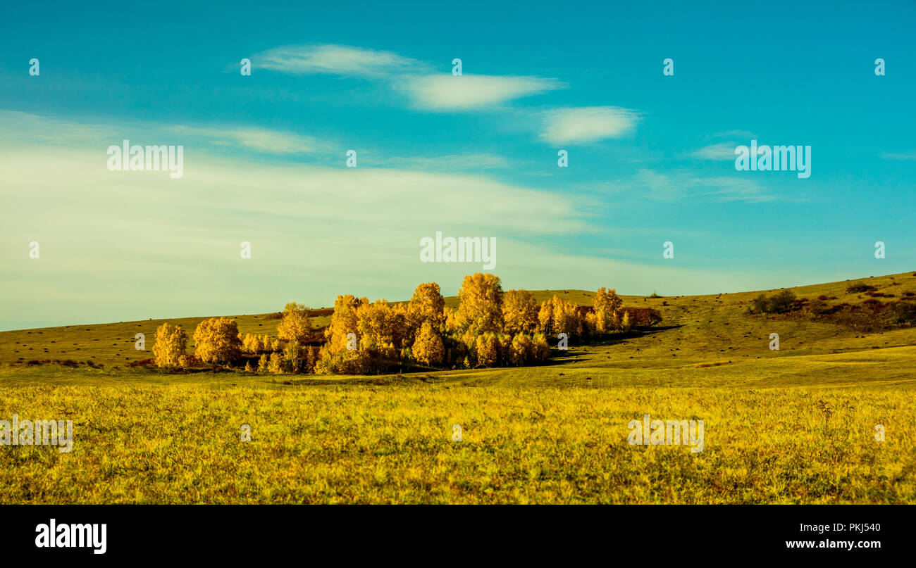 Hebei bashang grassland scenery Stock Photo - Alamy
